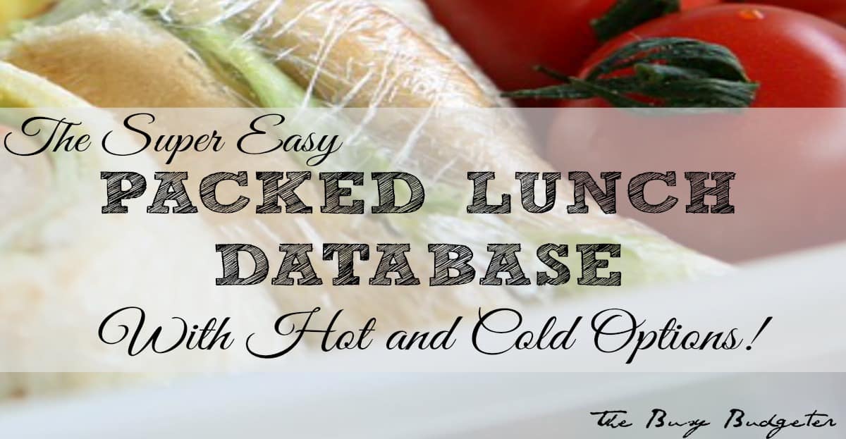 The Super Easy Packed Lunch Database with Hot and Cold Options! - The ...