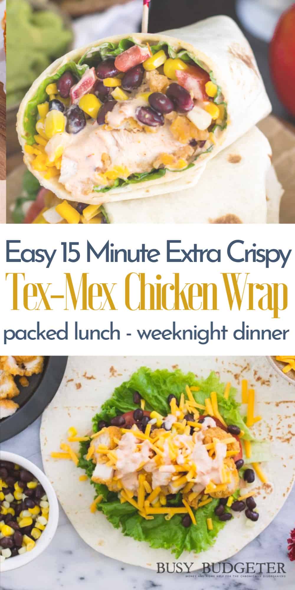 15 Minute Crispy Tex-Mex Chicken Wraps - The Busy Budgeter