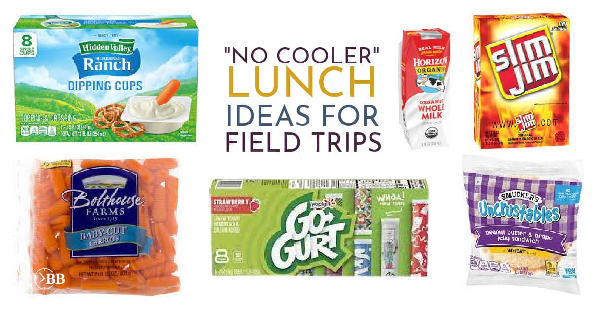 100+ Lunch Ideas For Field Trips (+No Cooler Options) - The Busy Budgeter